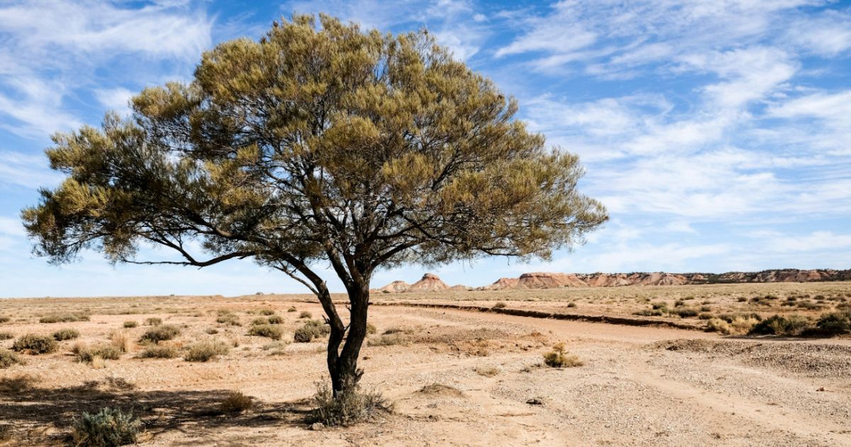 Elixir-backed Diona-1 gas well set for September spud under Xstate ...