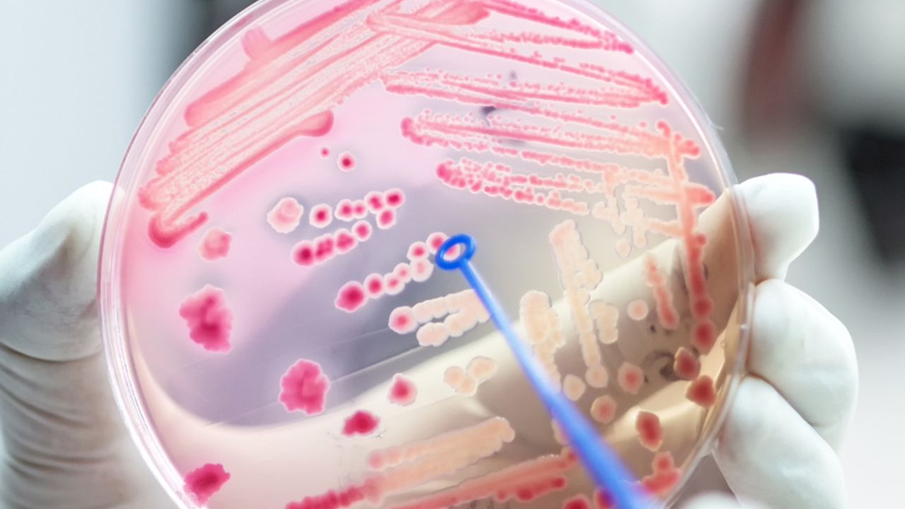 EMV Capital snaps up antibiotic assets from collapsed Destiny Pharma ...