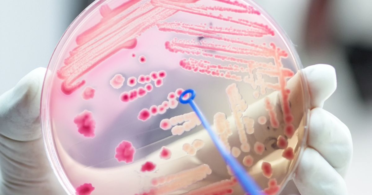 EMV Capital snaps up antibiotic assets from collapsed Destiny Pharma ...