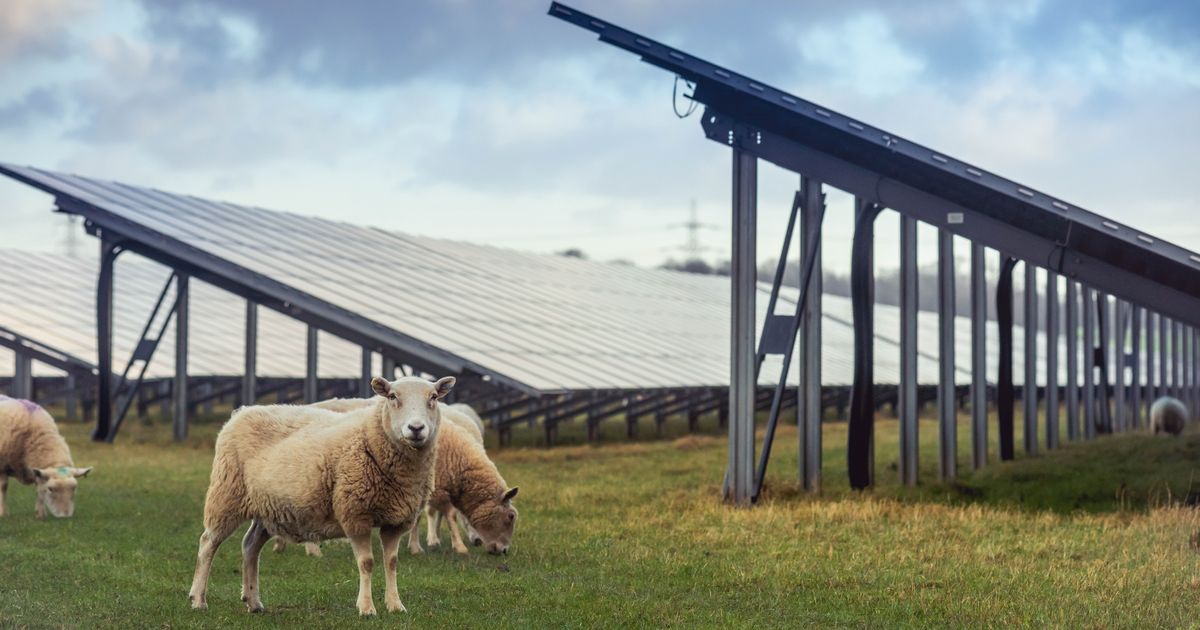 Foresight Solar pledges investor engagement as profits hold up | LSE:FSFL
