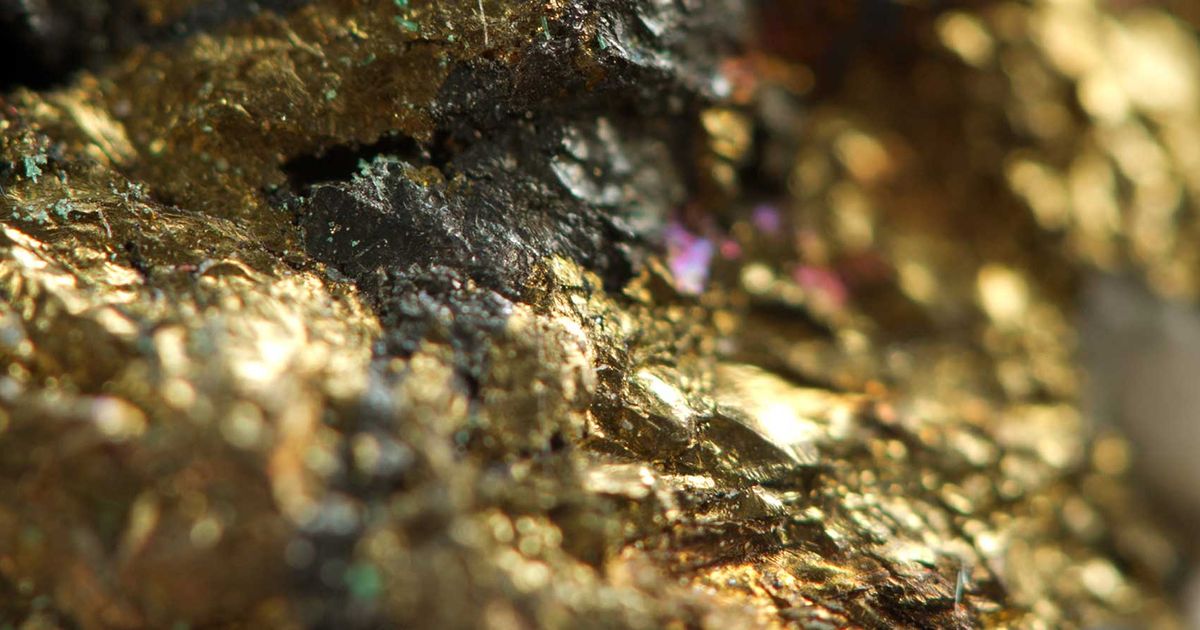 US Gold Corp to showcase projects at 2025 Future Minerals Forum in ...
