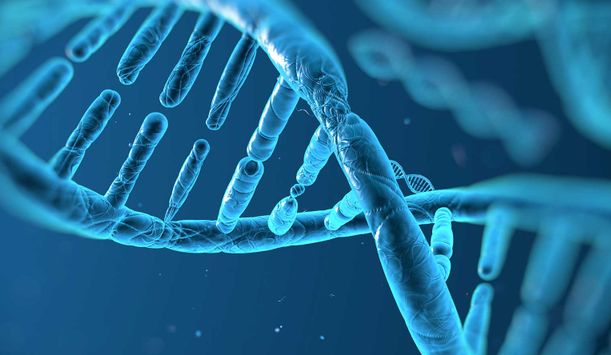 Zero Candida to outline 2025 plans in upcoming webinar | TSX-V:ZCT ...