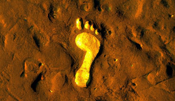 Kali Metals higher on expanding Marble Bar gold-in-soil anomaly 80% to ...