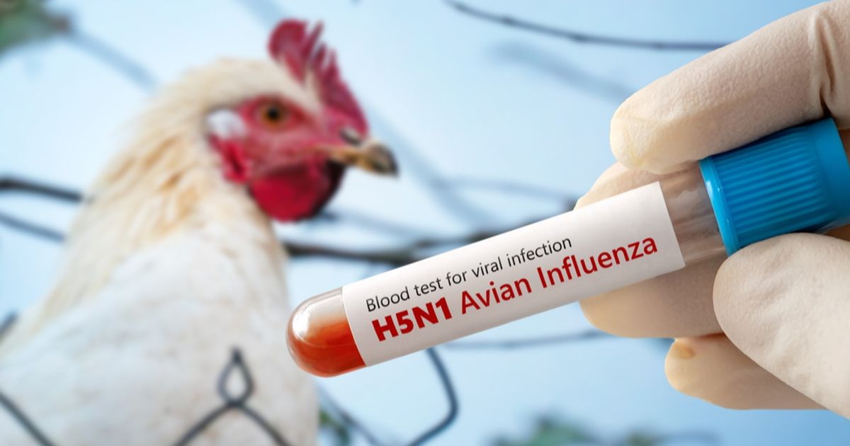 First US bird flu fatality raises alarms over mutations in H5N1 virus ...