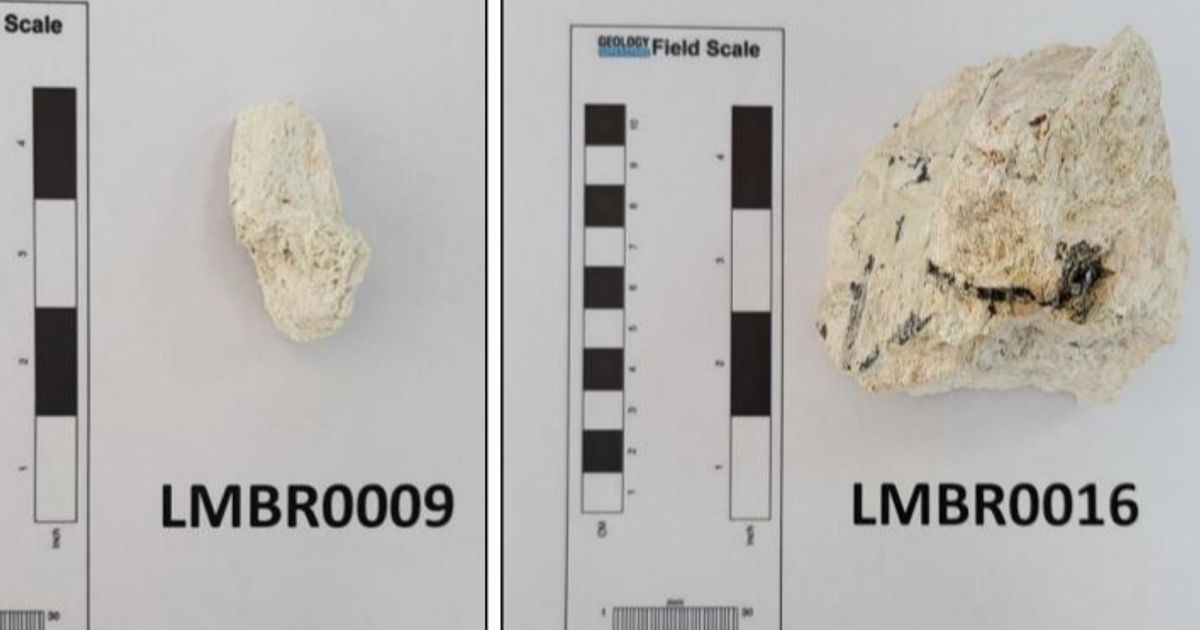 Lightning Minerals confirms spodumene at Esperança and elevated lithium ...