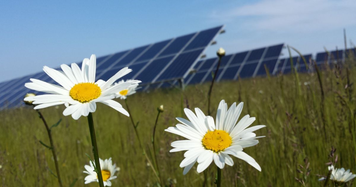 Bluefield Solar Income Fund: dividends whatever the weather | LSE:BSIF