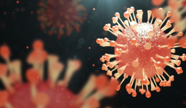 hVIVO lands largest standalone lab contract to date | AIM:HVO