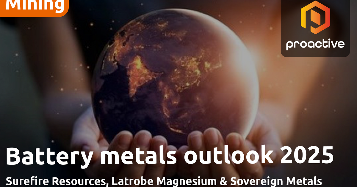 Battery metals 2025 outlook: demand remains strong despite 2024 ...
