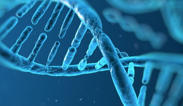 Genflow Biosciences: Key SIRT6 patent milestone achieved - ICYMI | LSE ...