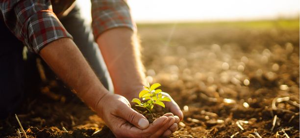 Replenish Nutrients is developing regenerative fertilizer solutions to ...