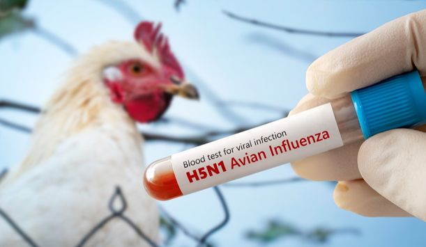 NanoViricides announces readiness to combat bird flu with antiviral ...