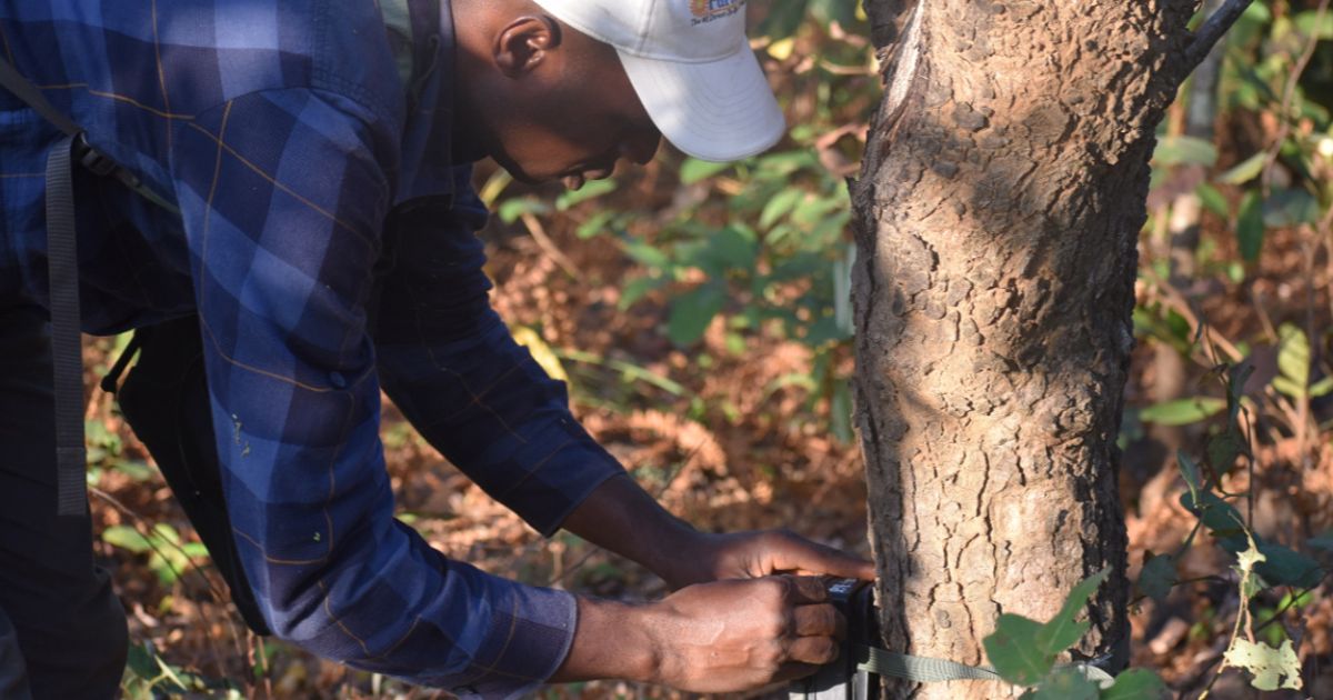 Predictive Discovery secures A$69 million in placement to Lundin Family ...