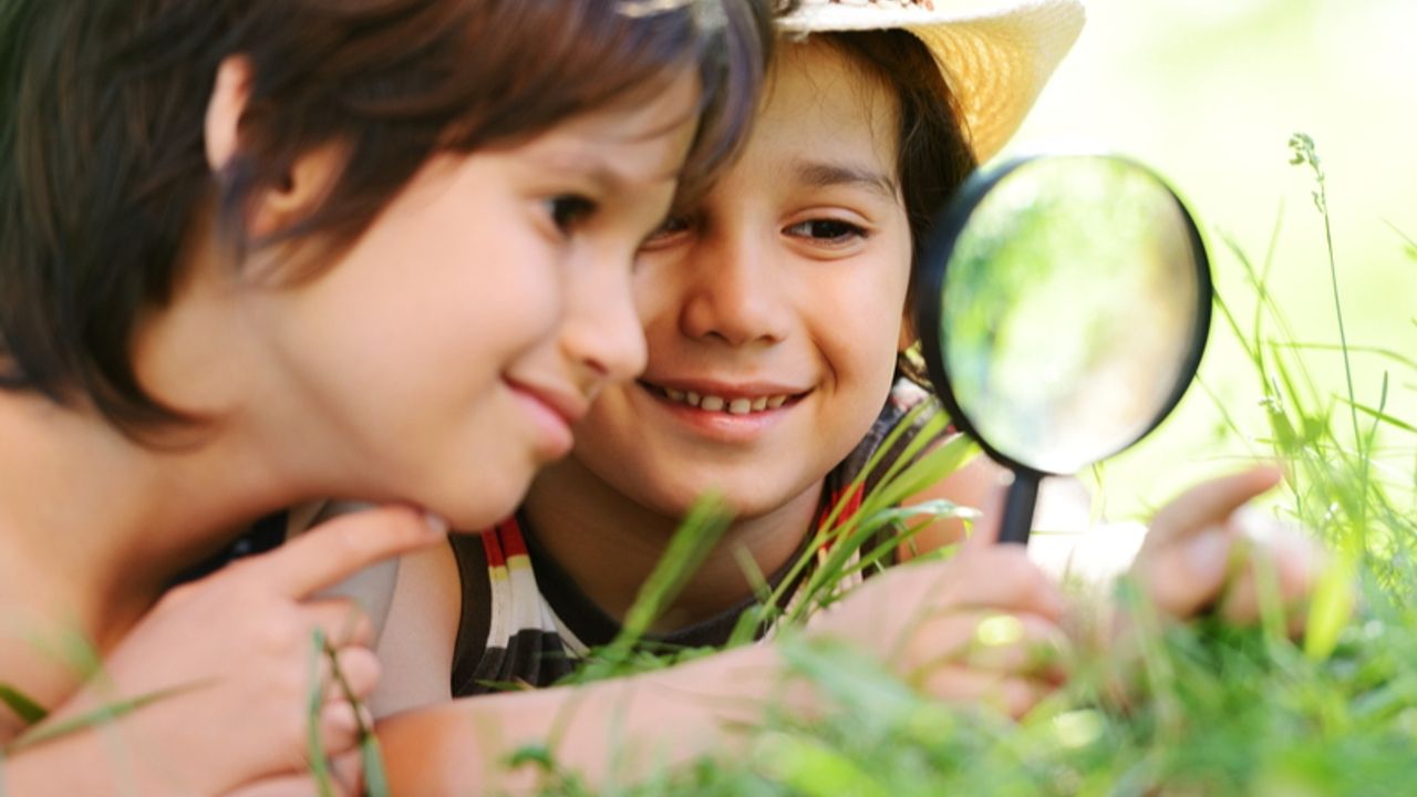 Allergy Therapeutics hails key validation of grass allergy treatment ...
