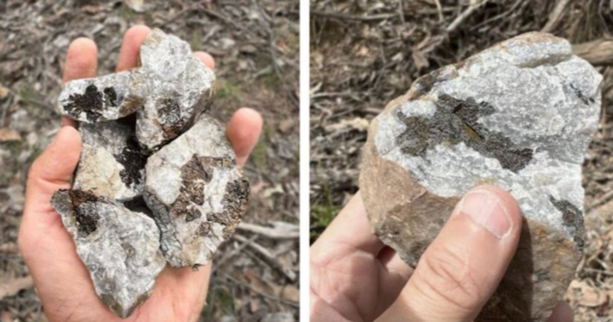 Kali Metals expands Sweetwater tin trend to 3.9 kilometres with 16.7% ...