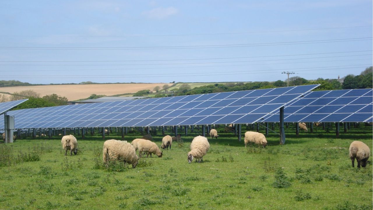 Renewables Infrastructure Group 'under a cloud' says analyst, but 2025 ...