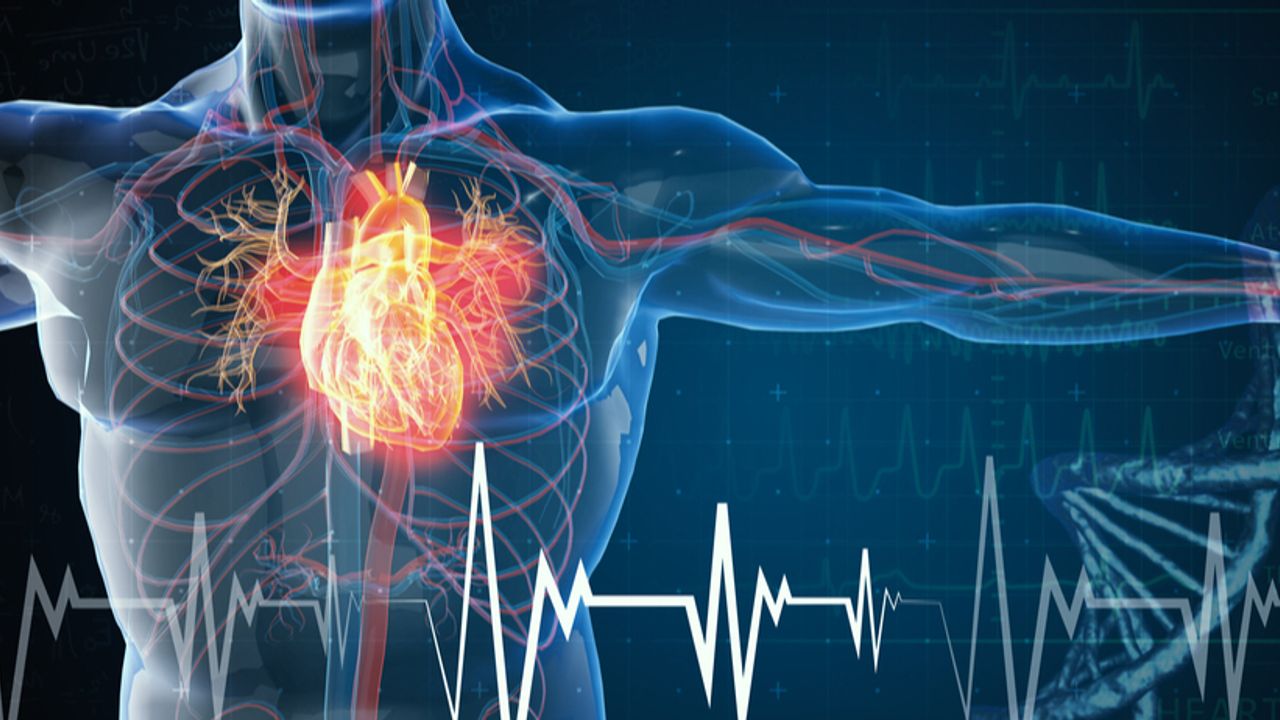 Cardiol Therapeutics says study shows benefit of cannabidiol drug in ...