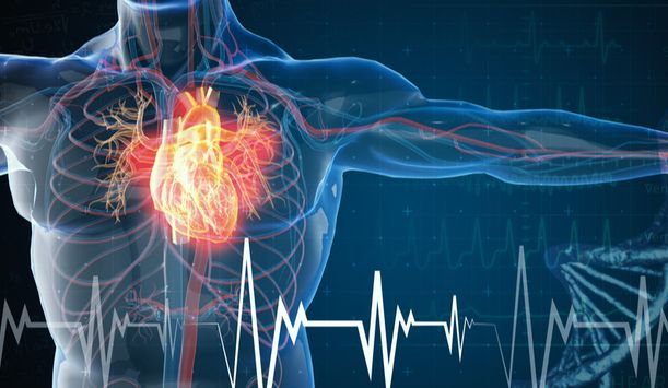 Cardiol Therapeutics says study shows benefit of cannabidiol drug in ...