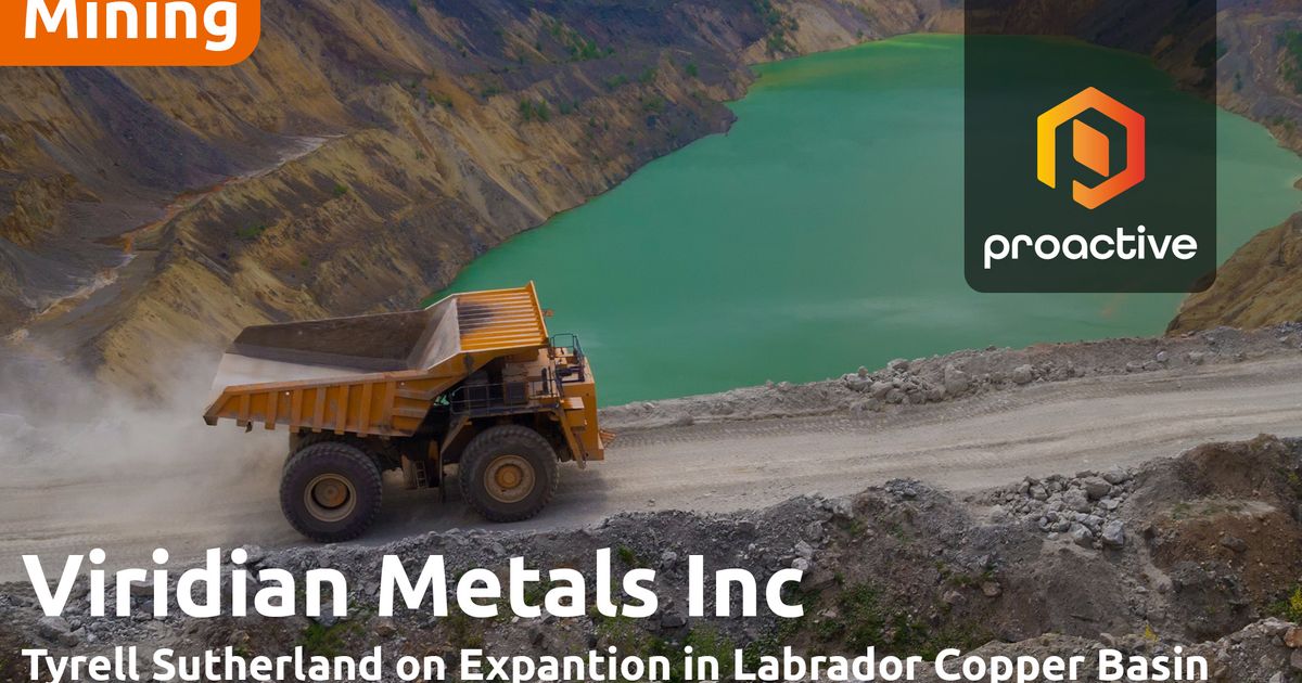 Viridian Metals becomes largest claim holder in Newfoundland & Labrador ...