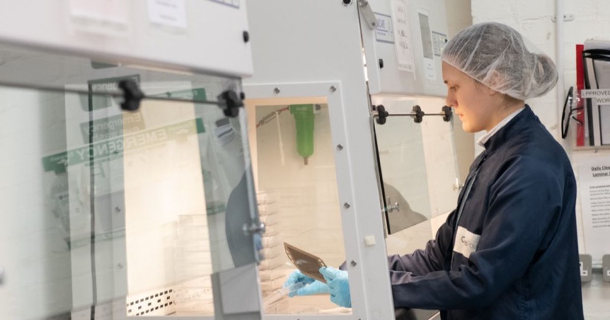 Ceres receives support from American investment bank after Bosch exit | LSE:CWR, OTC:CPWHF