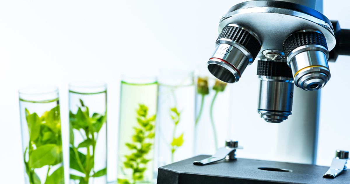 ANGLE’s Parsortix system helps uncover key cancer spread mechanism