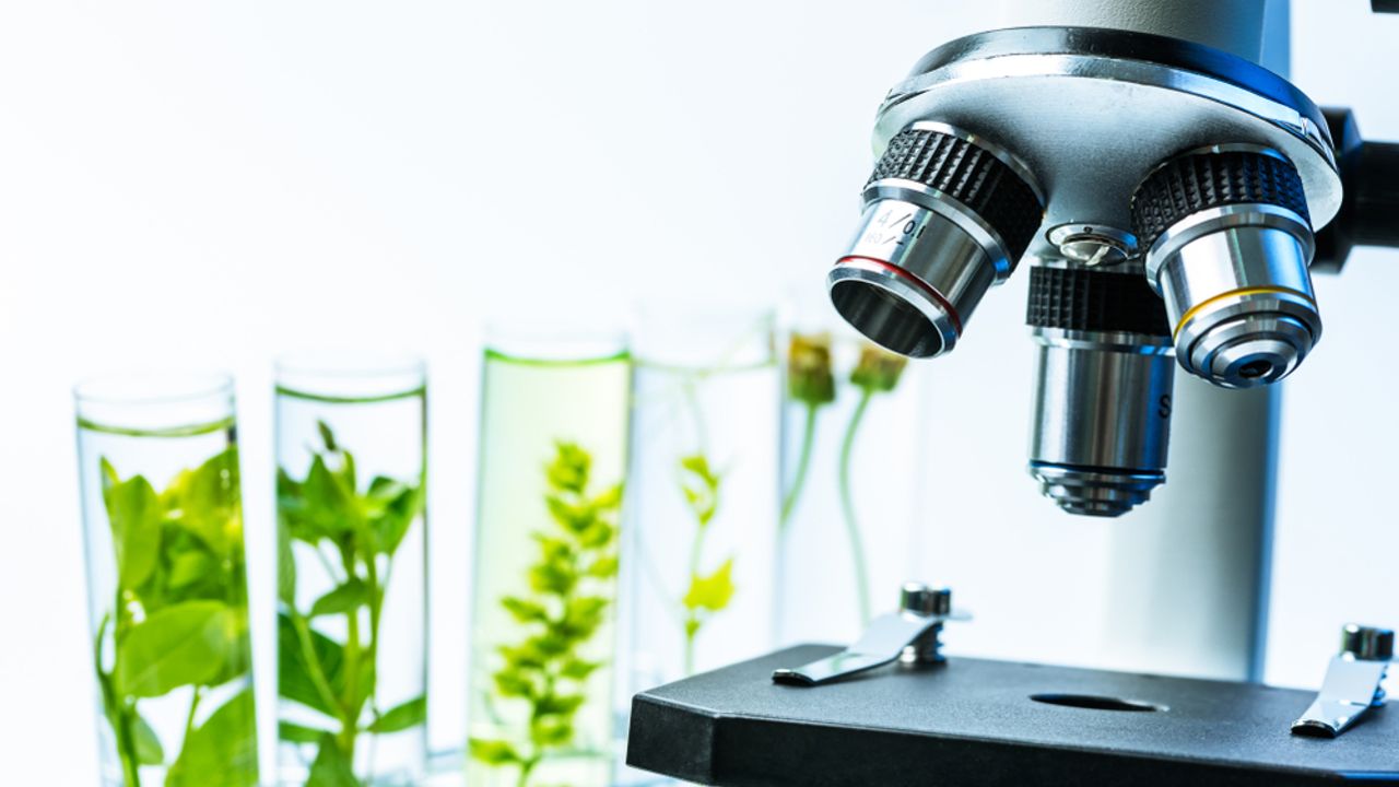 ANGLE’s Parsortix system helps uncover key cancer spread mechanism