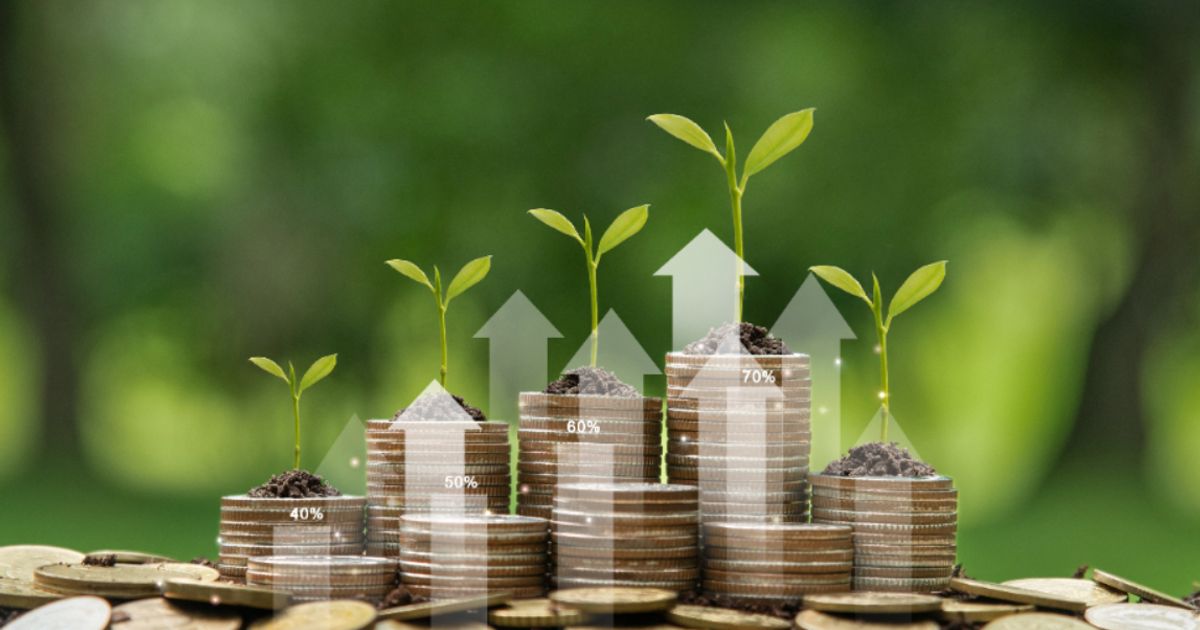 Syndicate Room: Final chance to invest in Carbon13’s climate-focused ...