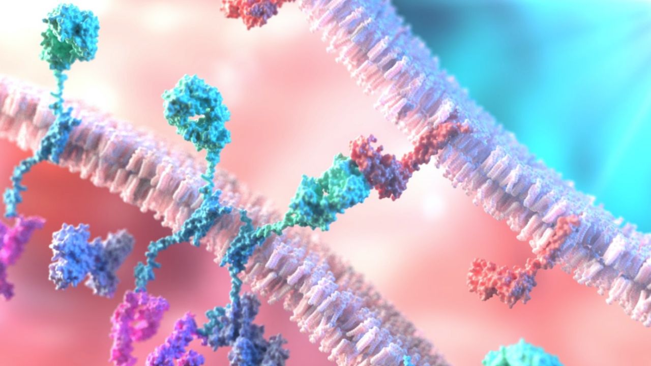 AstraZeneca pays $1bn for biotech that may 'transform cell therapy ...