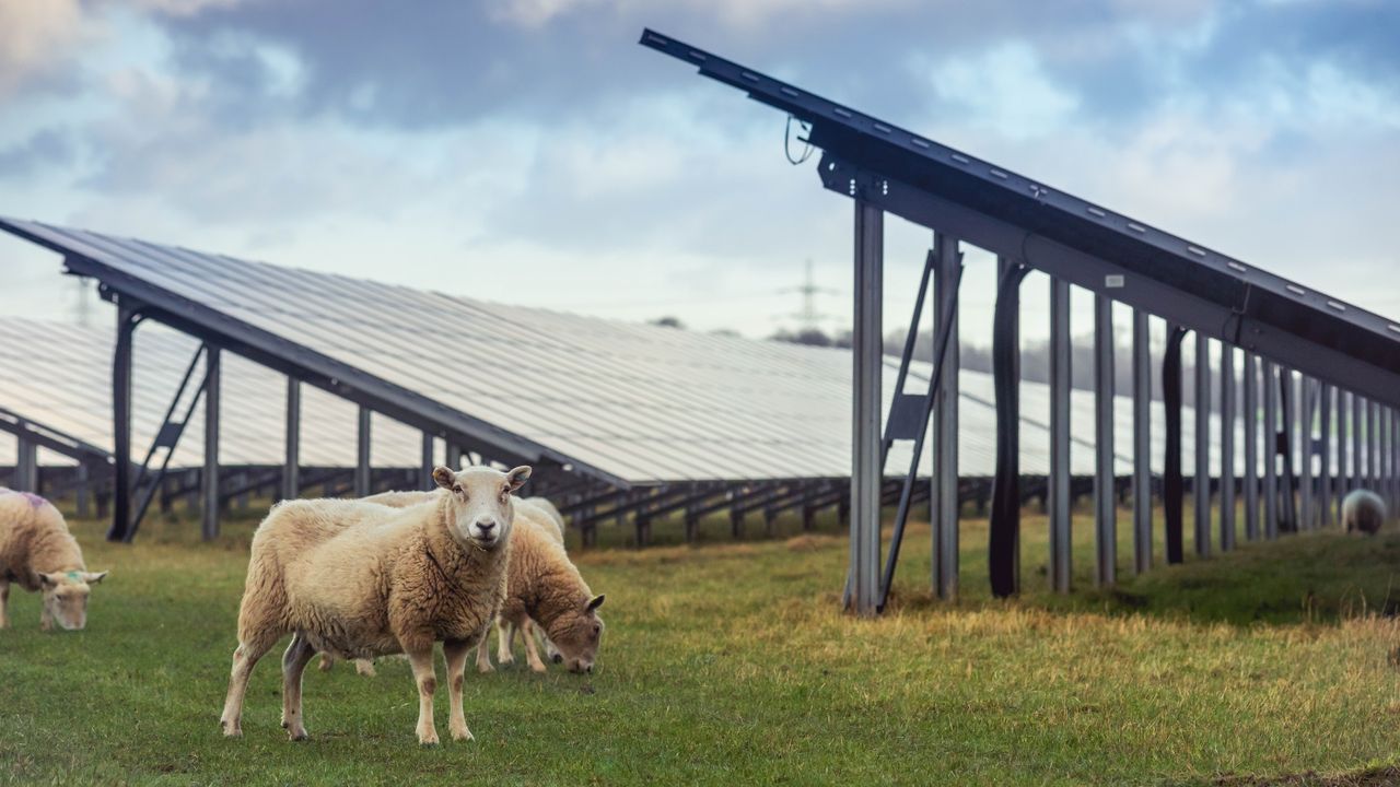 Foresight Solar expands divestment programme, says industry ...