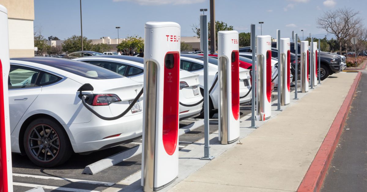 Anti-Musk backlash hurts Tesla sales in Australia and New Zealand ...