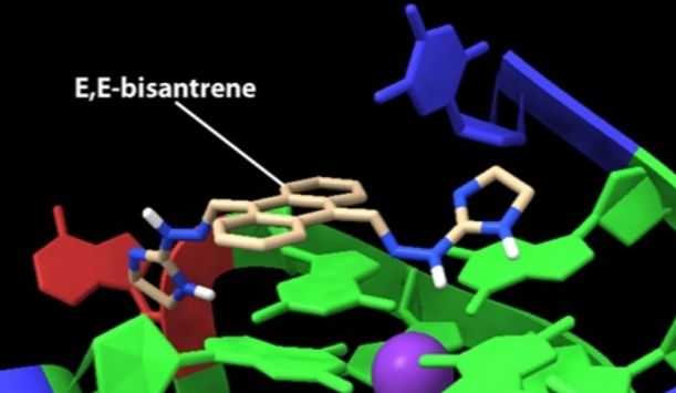 Race Oncology uncovers primary anticancer mechanism of (E,E)-bisantrene ...