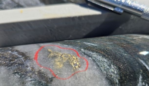 Pantoro Gold hits high-grade gold at Norseman’s Mainfield underground ...