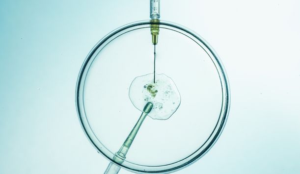 Inside Biotech: Monash IVF board flexes the bonus hammer after embryo ...