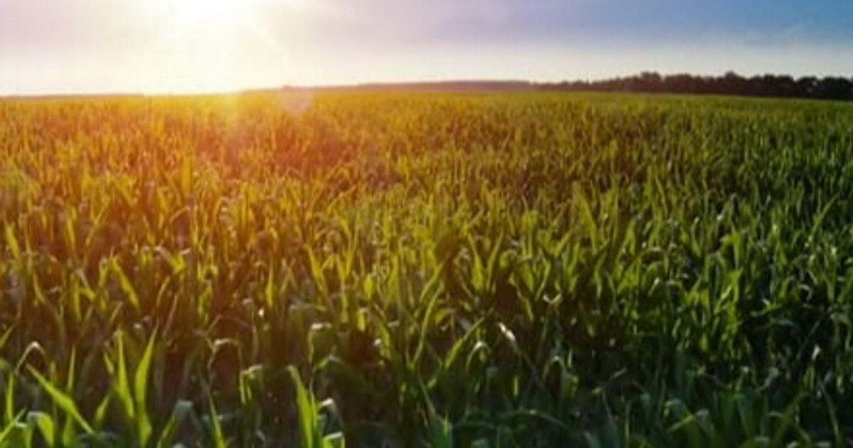 Highfield Resources quarterly report highlights new $10 million funding ...
