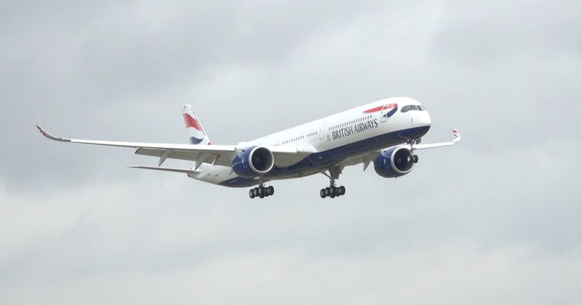 BA owner IAG expected to sustain margins over next two years, analysts ...