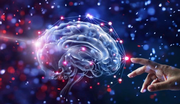 Inside Biotech: Synchron’s $460m raise brings brain-computer interface ...