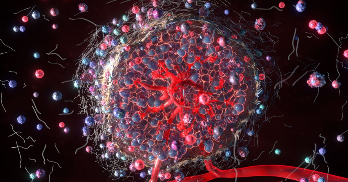 Imugene and JW Therapeutics launch collaborative program to bring CD19 ...