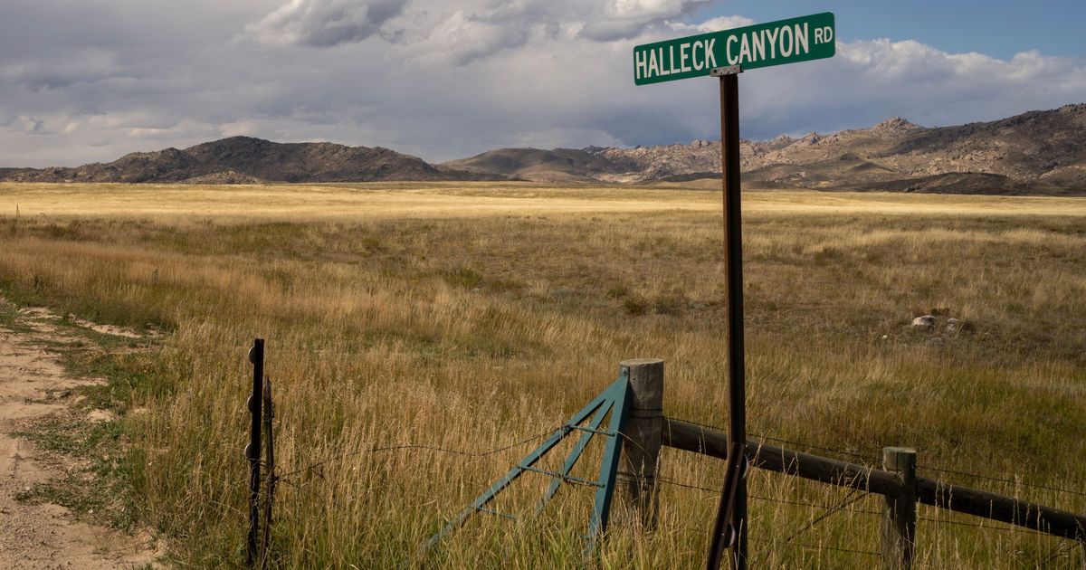American Rare Earths lifts Halleck Creek with upgraded flowsheet ...