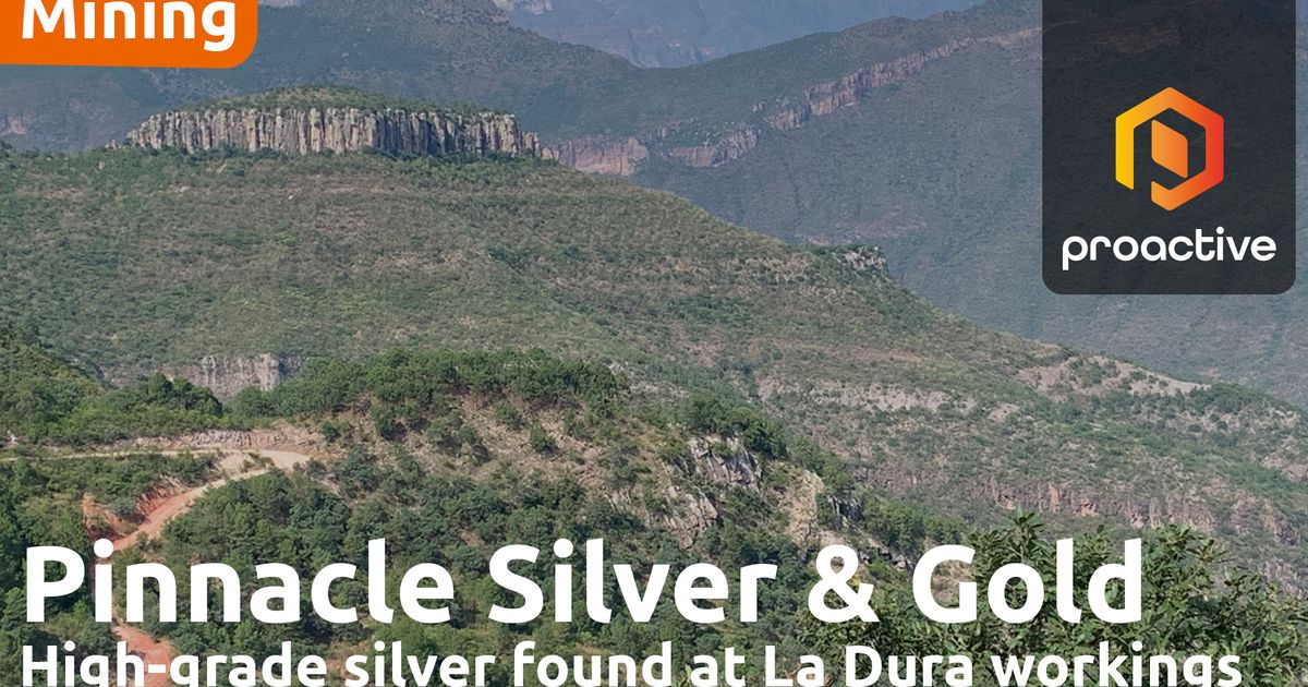 Pinnacle Silver and Gold extends 500m mineralized zone at El Potrero ...