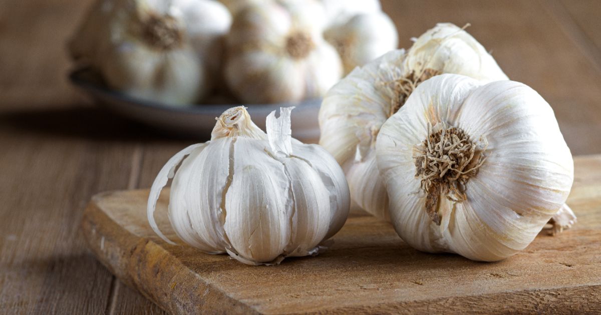 OpenAI’s Garlic leak has set the AI world spinning. Nate B. Jones ...