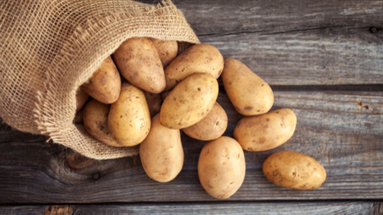 MustGrow Biologics sees strong potato yield gains – ICYMI | TSX-V:MGRO ...