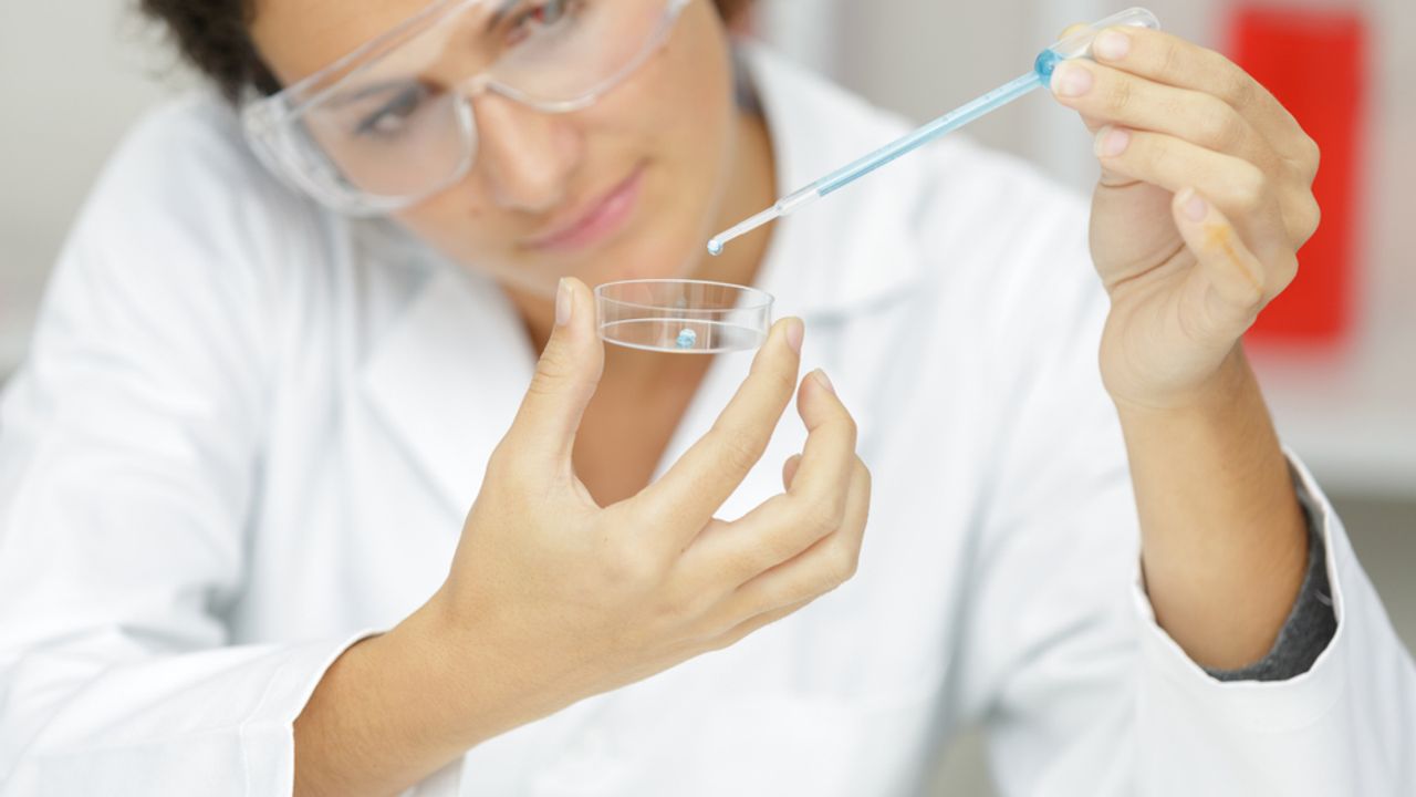 SThree continues rebound as guidance held