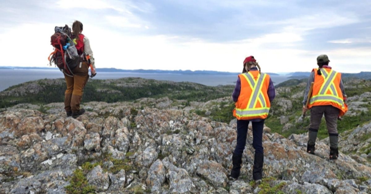 FireFly Metals shifts from high-grade growth story to large-scale ...