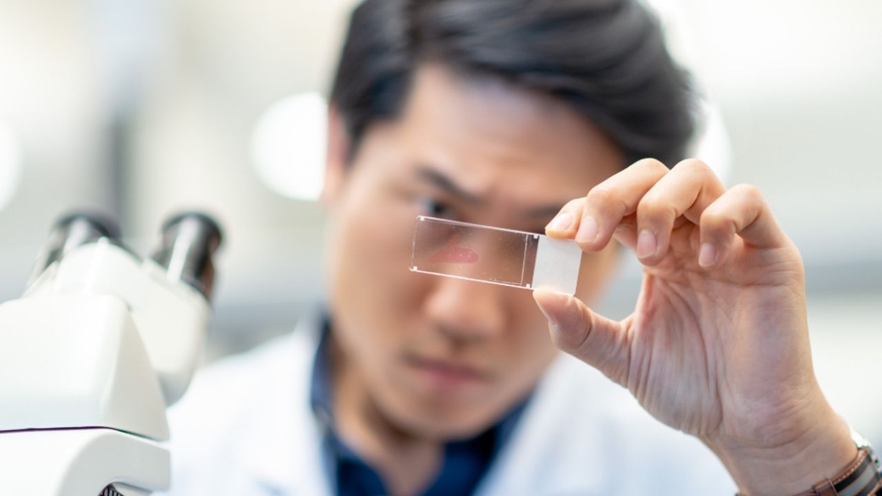 Imugene flags strong azer-cel response rates and ASCO milestone in ...