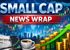 The Small Cap Wrap: Kaoko Metals debuts on ASX after $6.5M IPO, BOA ...