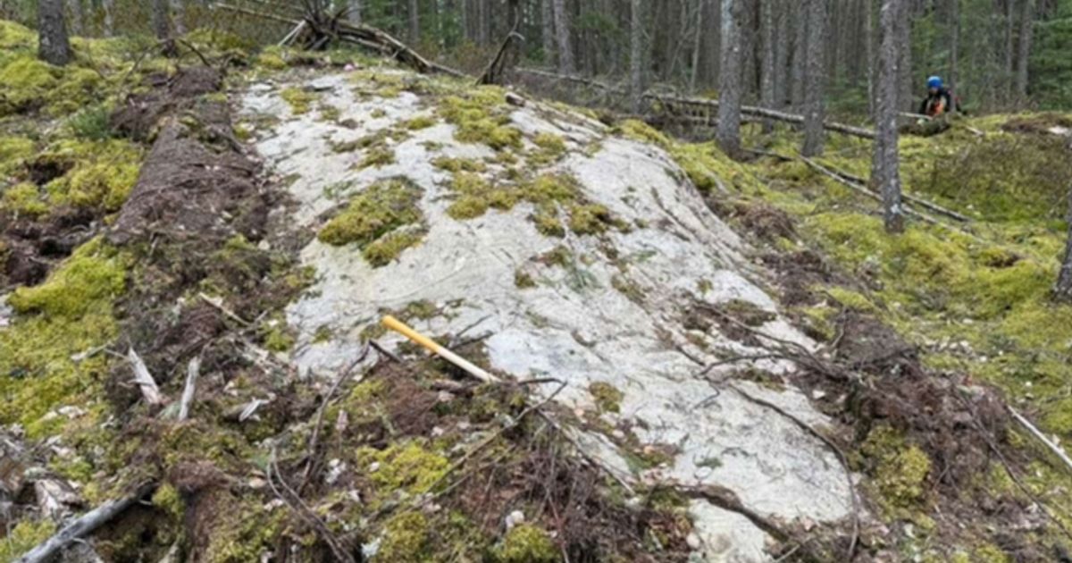 Critical Resources expands Mavis Lake lithium push with new field ...
