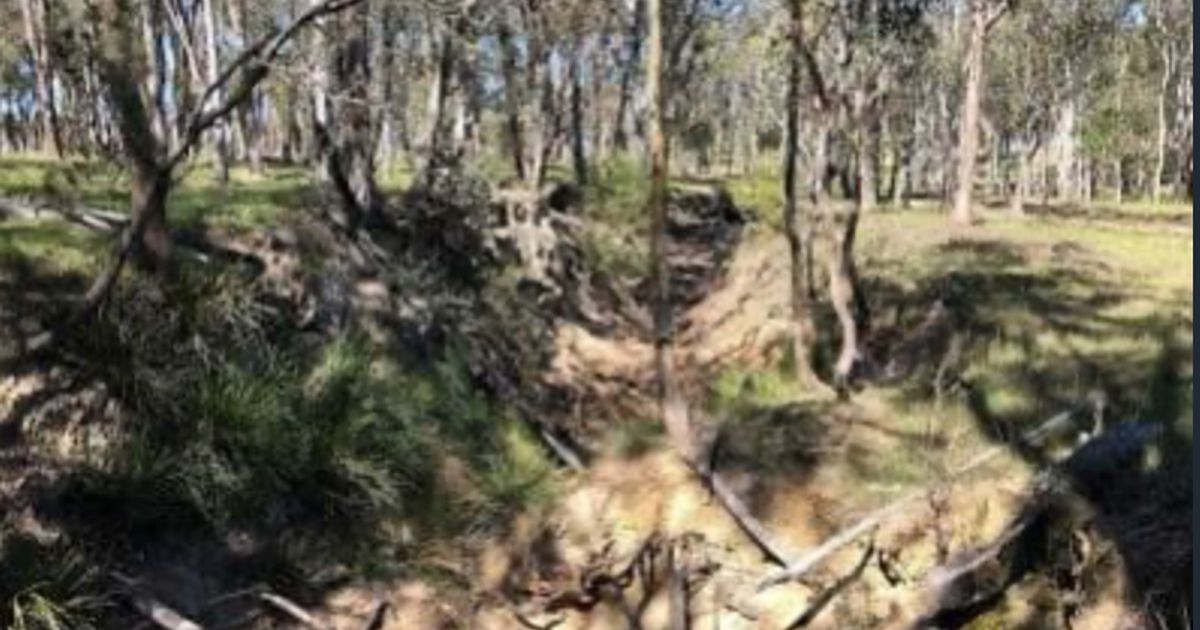 Koonenberry extends Sunnyside gold system as drilling points to growing ...