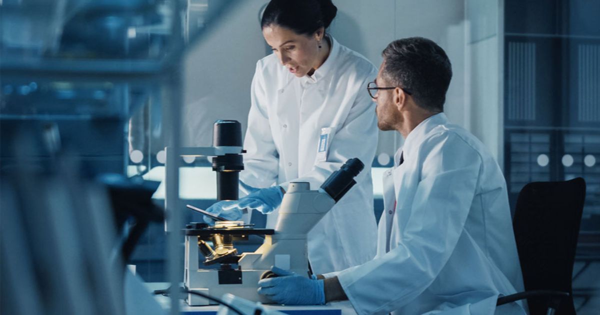 Inside Biotech: Noxopharm taps renewed immunotherapy momentum with ...