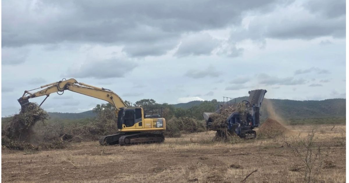 NoviqTech starts harvesting and pyrolysis trial at Great Barrier Reef ...