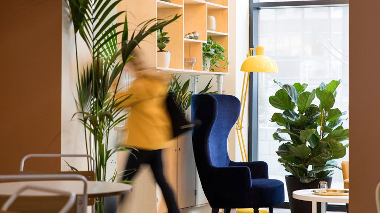 UBS initiates Unite Group with 'buy' rating as student housing discount ...
