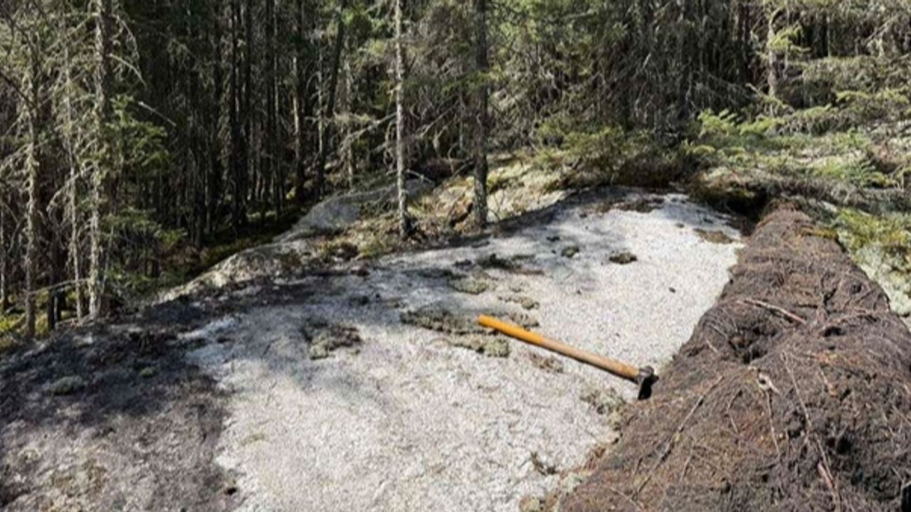 Critical Resources identifies 14 pegmatites in northern Mavis Lake ...